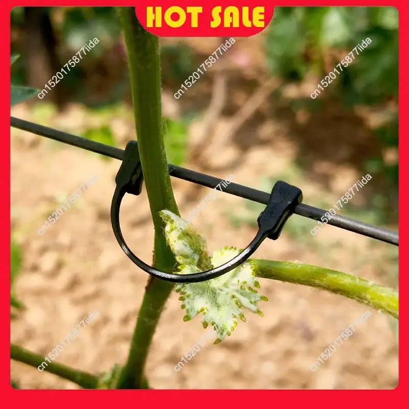Sf0bd0ecb84eb4f26b6f725109d496a6dP.jpeg