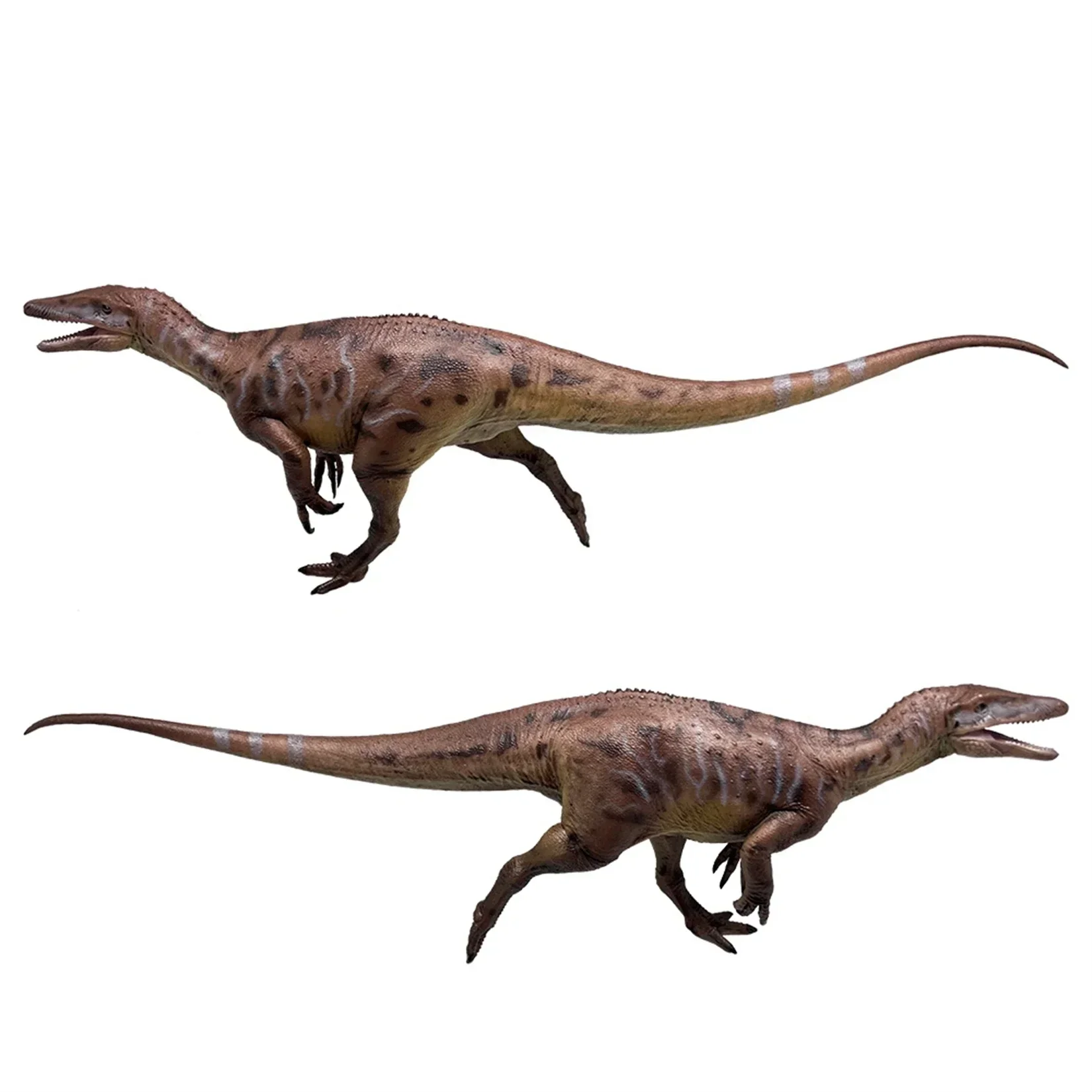 Megaraptor Size