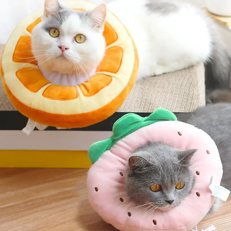 Pet-Cat-Dog-Elizabeth-Circle-Collar-Fruit-Shape-Adjustable ...