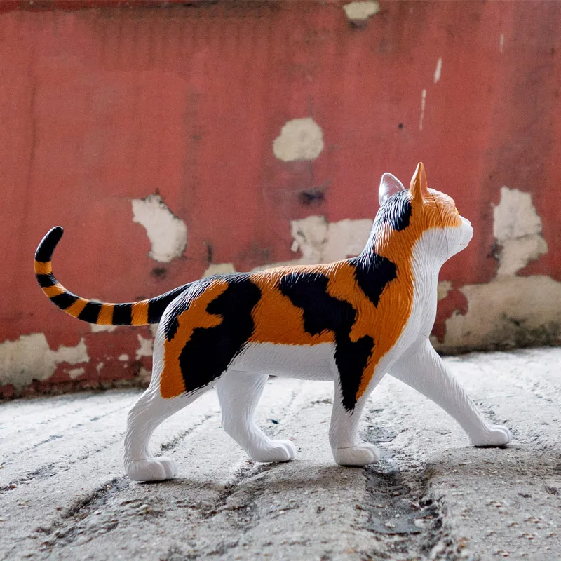 Cat Body Parts For Kids