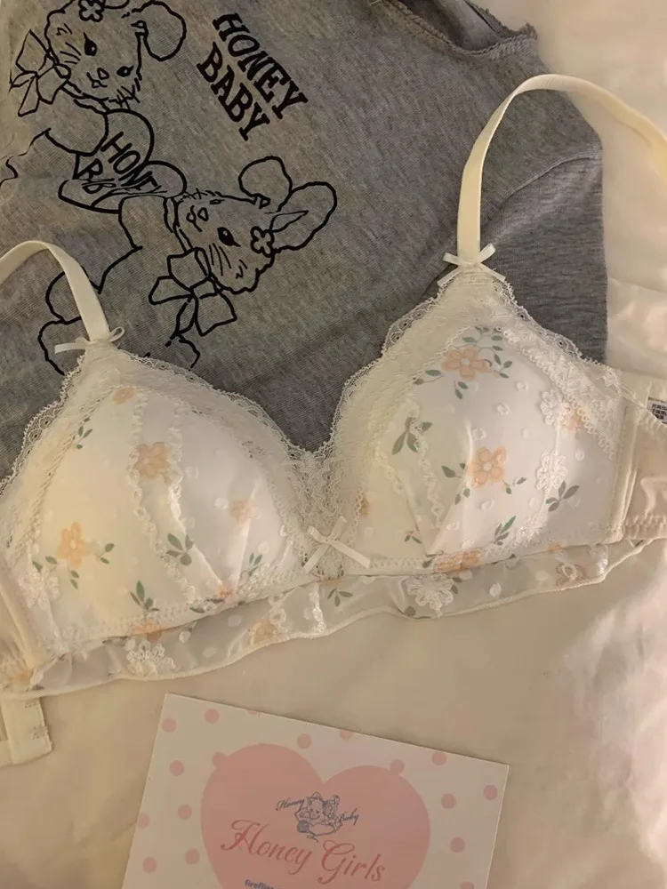 French Floral Underwear Women's Small Breasts Gather Summer Thin Show ...