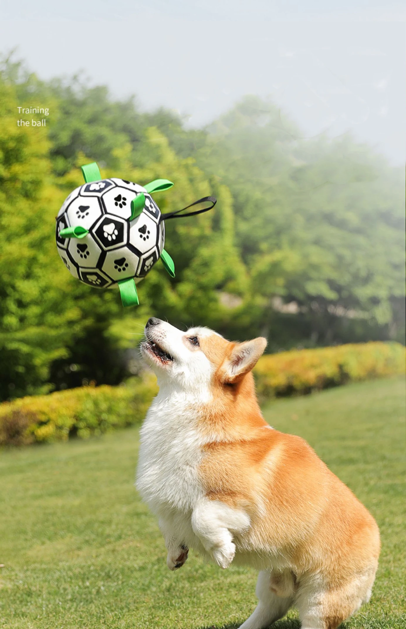 Dog-Training-Football-Dog-Toy-Interactive-Pet-Football-Toy-Pet-Chew ...