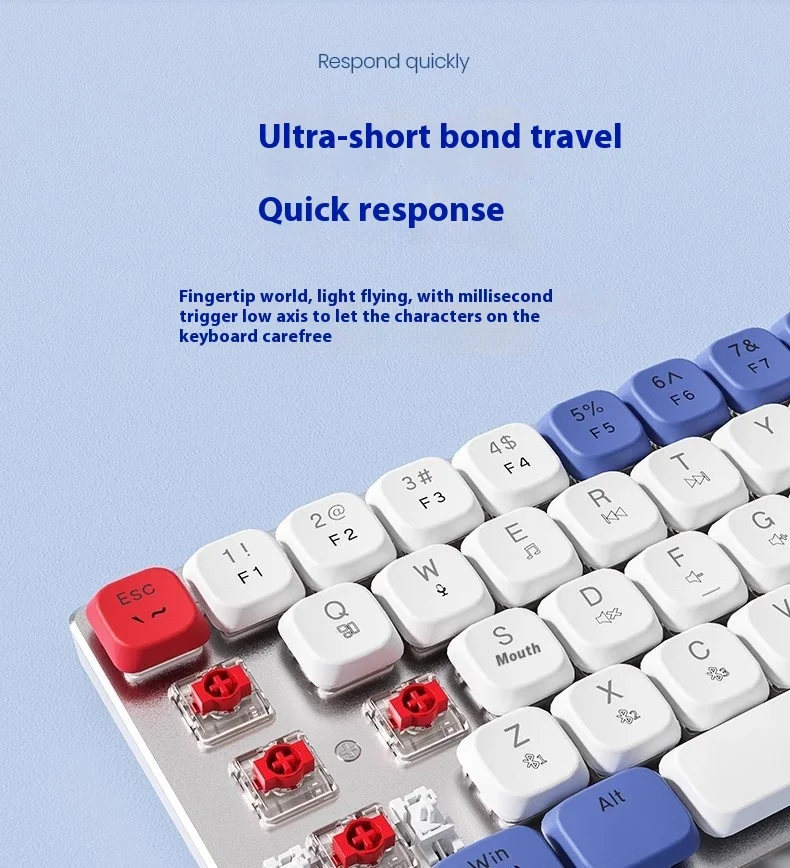 EWEADN MK68 Low Profile 70% Wireless Bluetooth Mechanical Keyboard ...