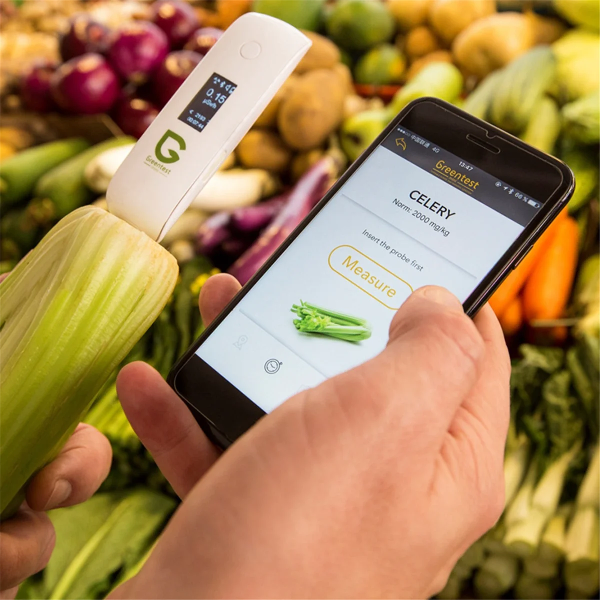 B52C Greentest Food Safety Monitor for Fruit and Vegetable Nitrate ...