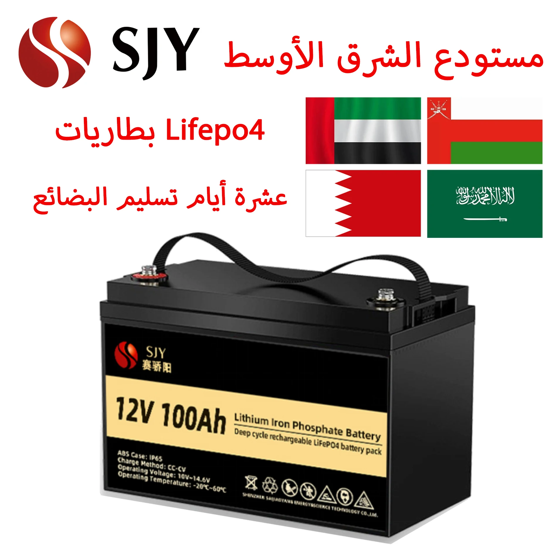 Grade-A-12V100Ah-LiFePO4-Battery-with-100A-BMS-Shipping-from-warehouse ...