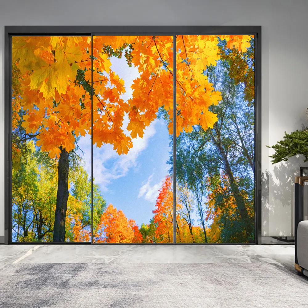 Store Home Products Feedback Brand story