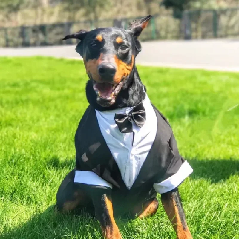 Dog Wedding Suit Big Dog Clothes Tuxedo Large Dog Formal Dress Welsh ...