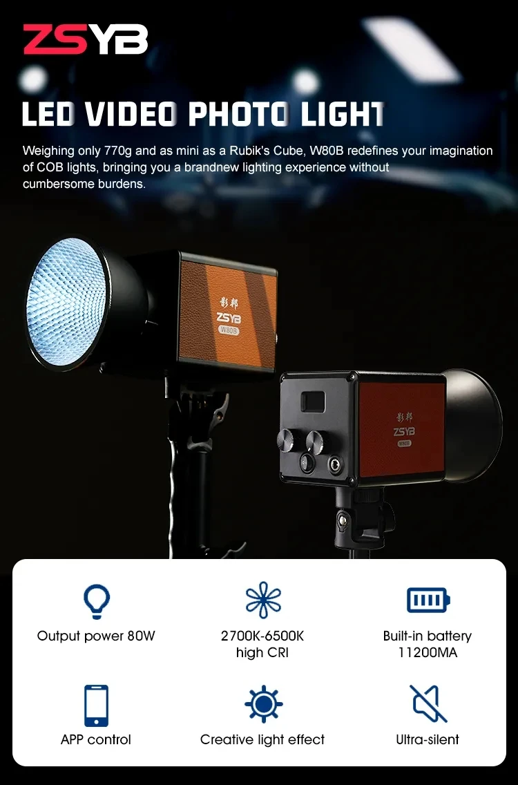 ZSYB W80B 80W Handheld Outdoor Photography Light 2700K-6500K Video ...