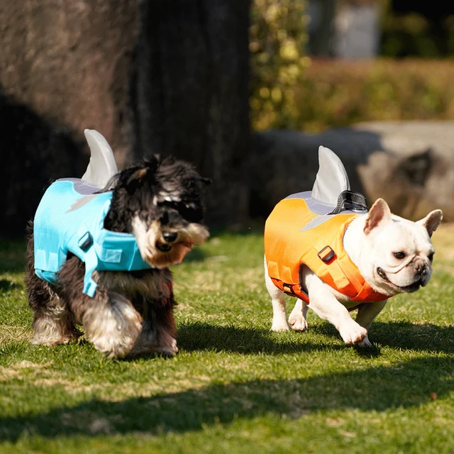Shark Fin Costume For Dogs