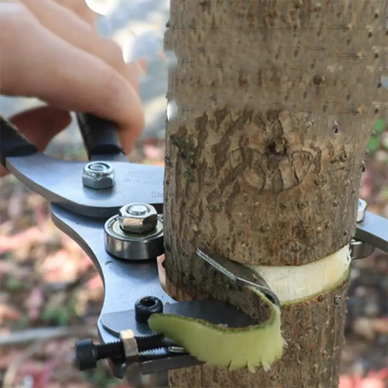 Ring Stripping Pliers Jujube Girdling Tool Stripping Knife Nail Opener ...