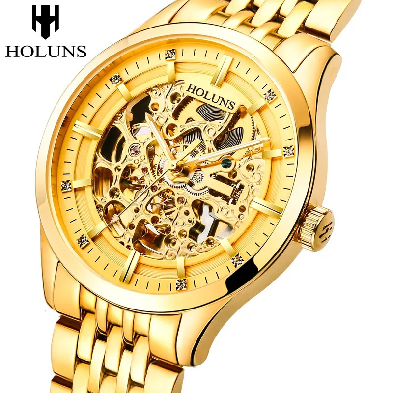 Holuns-mens-watches-top-brand-luxury-automatic-mechanical-Gold-watch ...