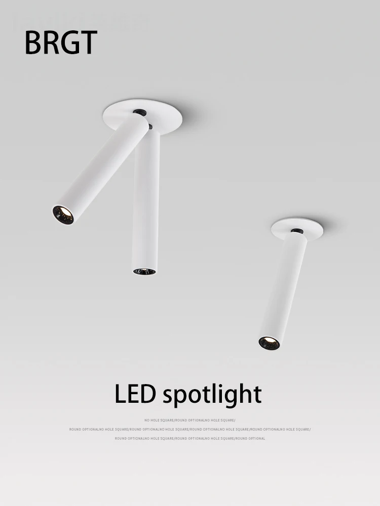 BRGT Led Spot Light Recessed Long Tube Spotlight Adjustable Angle ...
