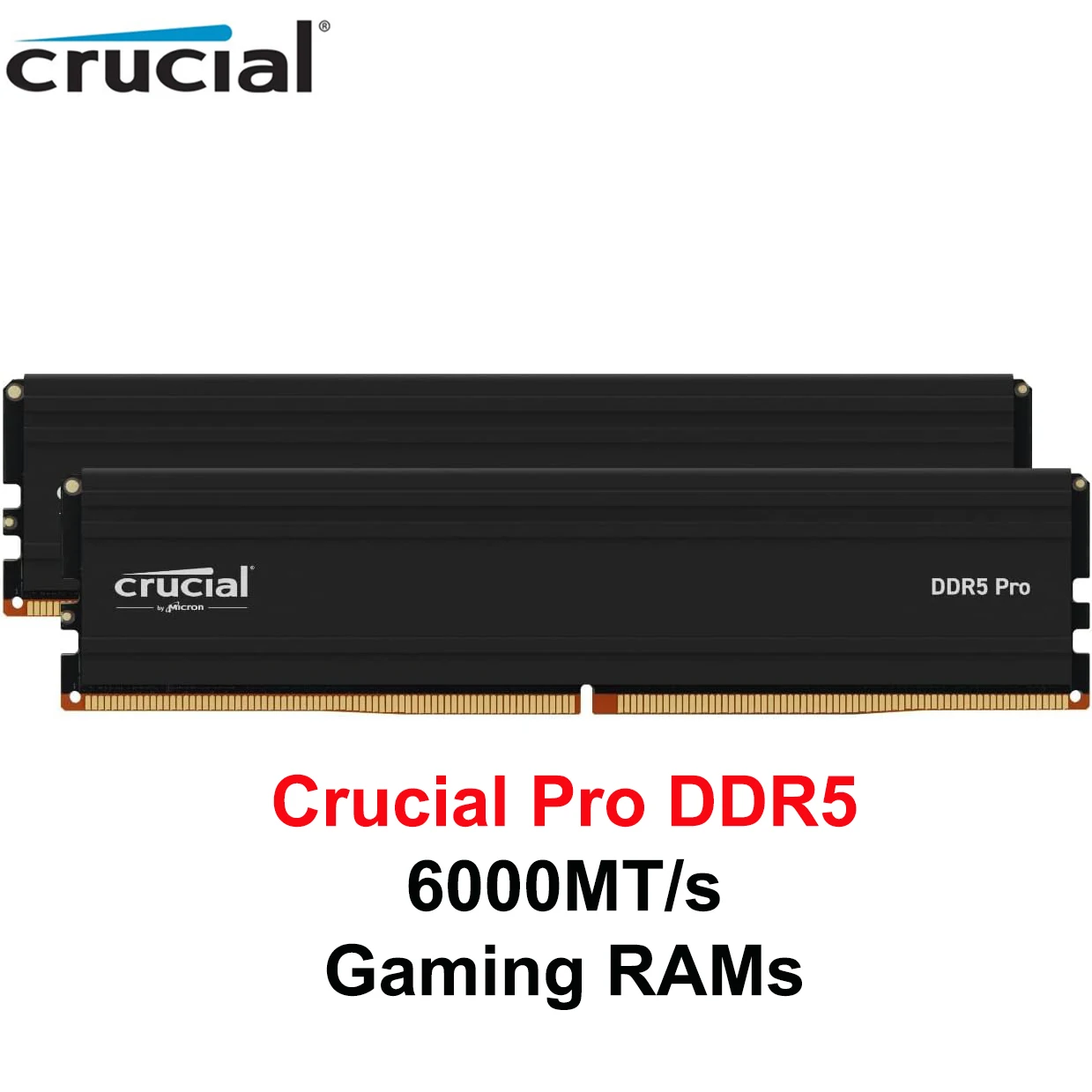 Crucial-Pro-RAM-Kit-32GB-2x16-GB-48GB-2x24-GB-64GB-2x32GB-Desktop-Mem ...