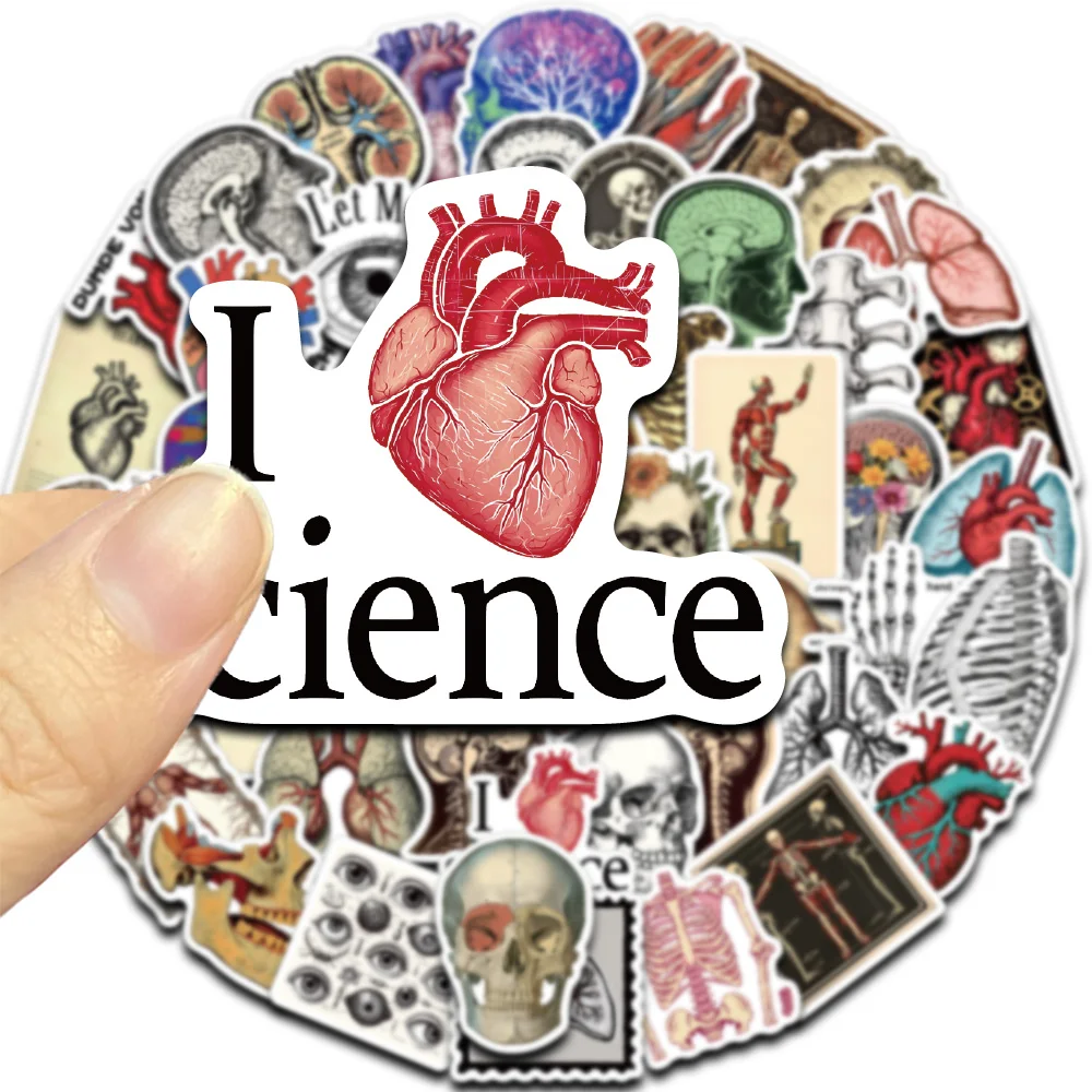 50PCS Retro Scientific Anatomy Human Organ Sticker Eye Heart Brain ...