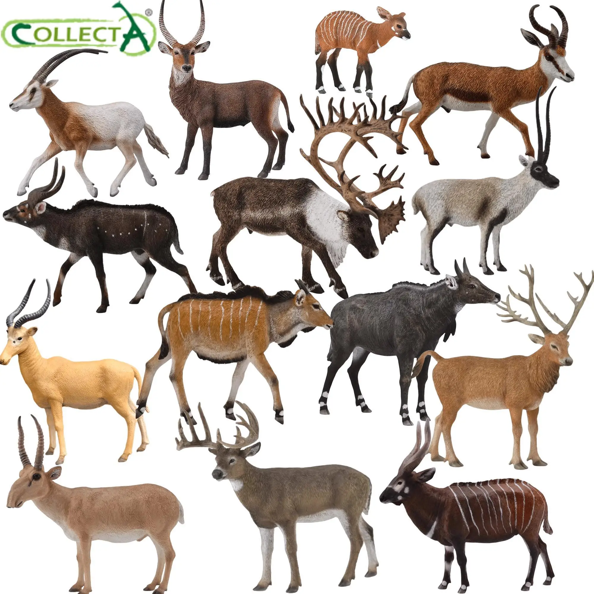 Collecta-Alce-aribu-Bongo-Pastoral-tragus-Pantholops-Hodgsonii-modelo ...