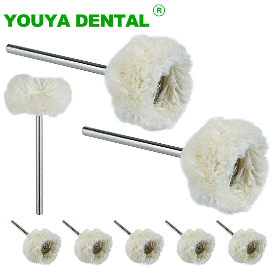 10pcs/Bag Dental Laboratory Brush Dentistry Odontologia Polishing ...