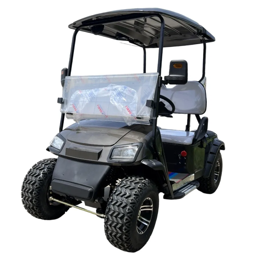 Custom-Powered-CE-4-Wheel-Sightseeing-4-Seater-Environmental-Protection ...