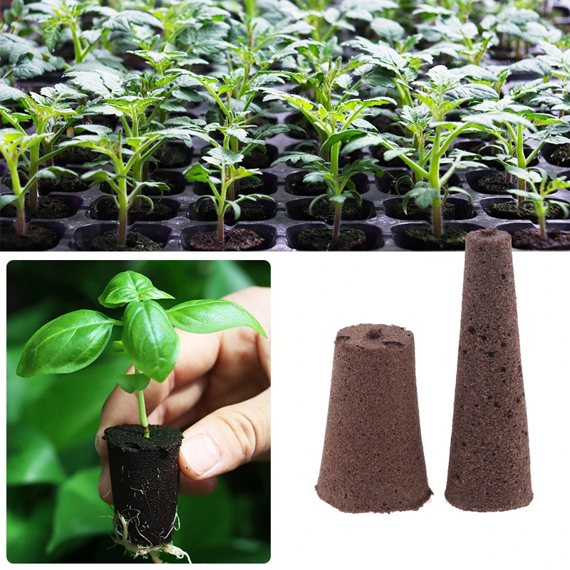 12Pcs/Pack Seedling Block Growing Sponge Hydroponic Supplement Seedling ...
