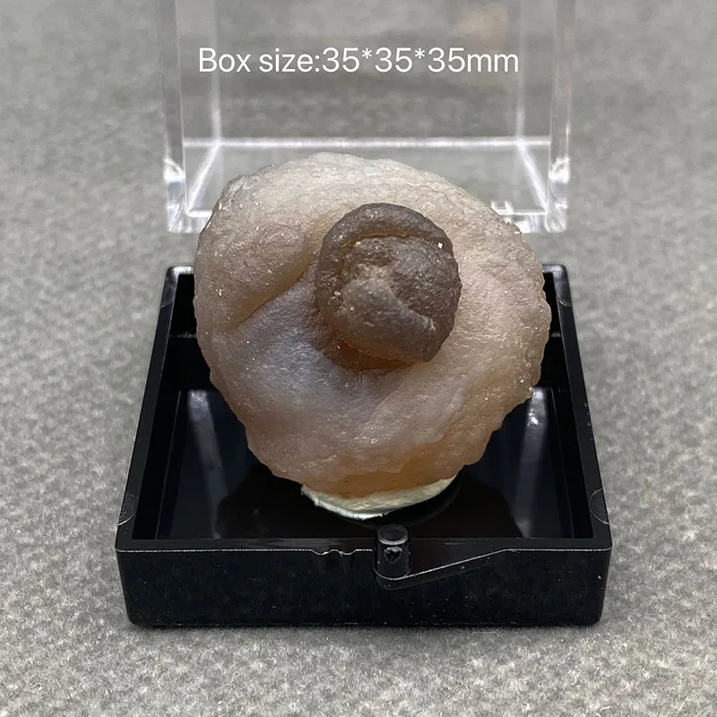 100% Natural Panda agate Mineral Specimen Healing Crystal Gemstone ...