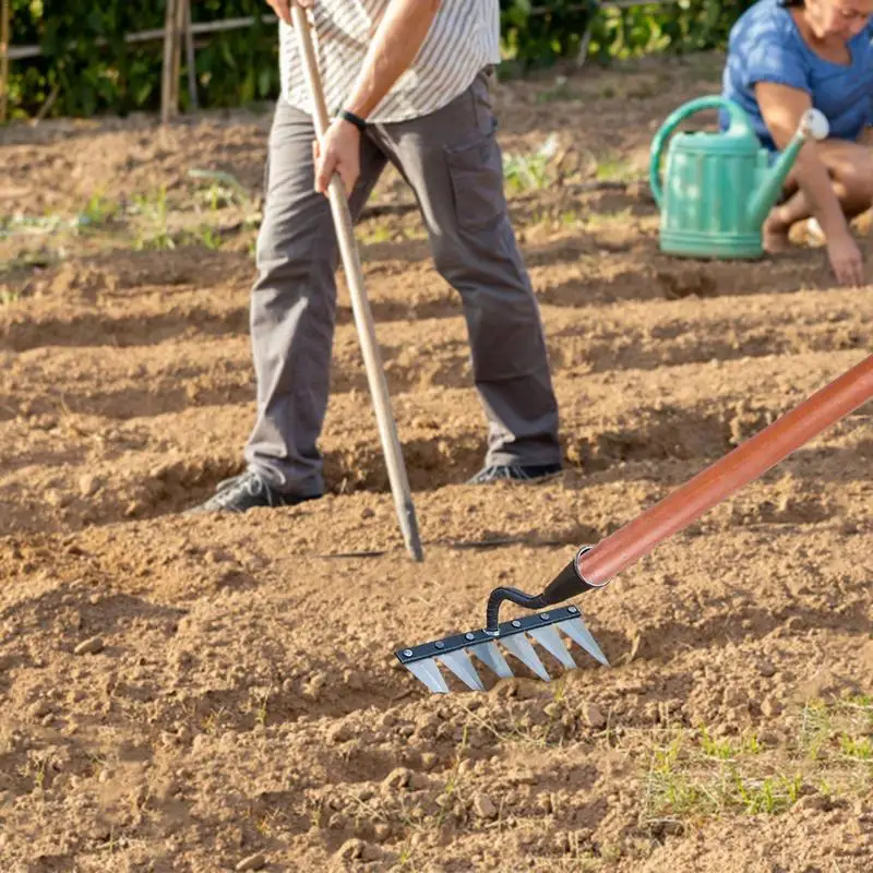 Metal Garden Rake Garden Hand Rake Tine Rake Dethatching Weeding ...