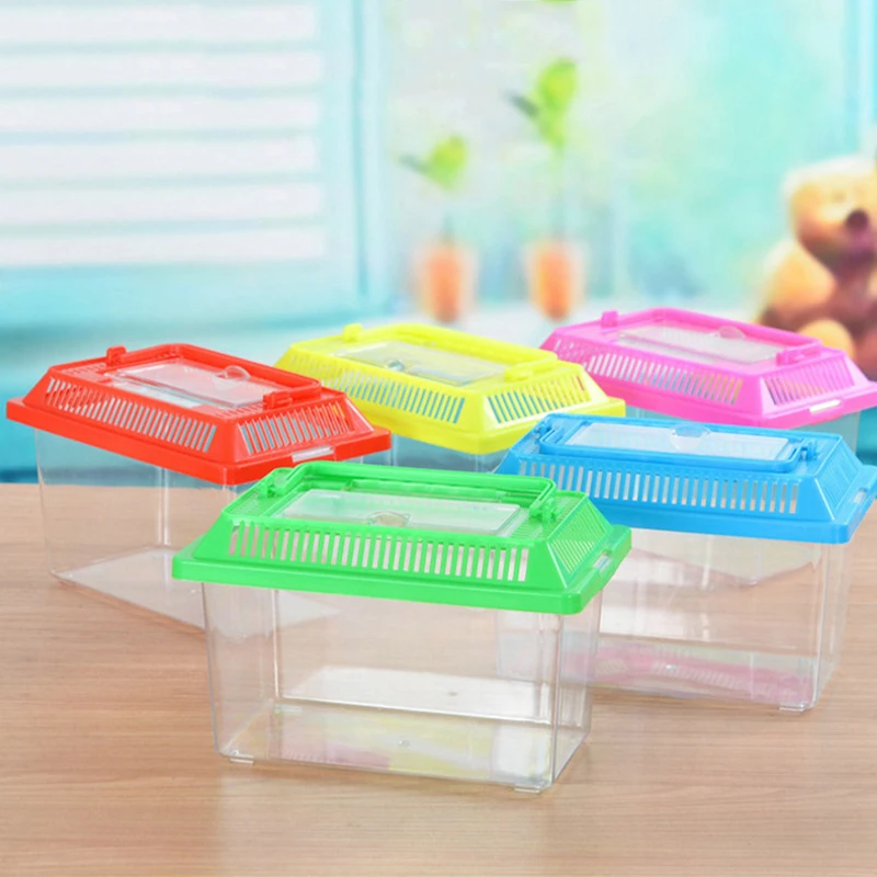 Small Plastic Fish Tank