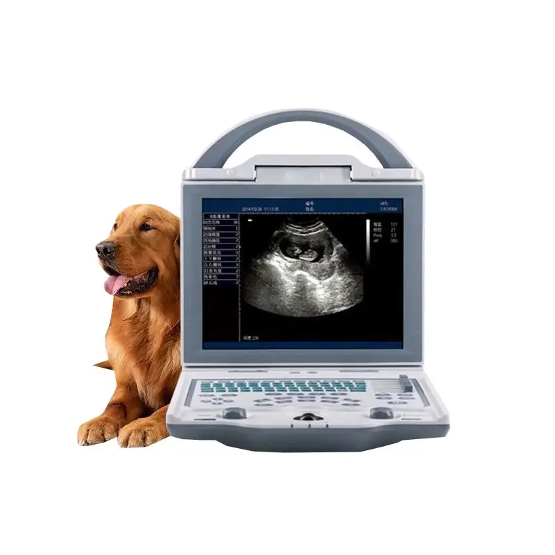 Dog-Cat-Pregnancy-Testing-Machine-LED-Screen-Laptop-Veterinary ...