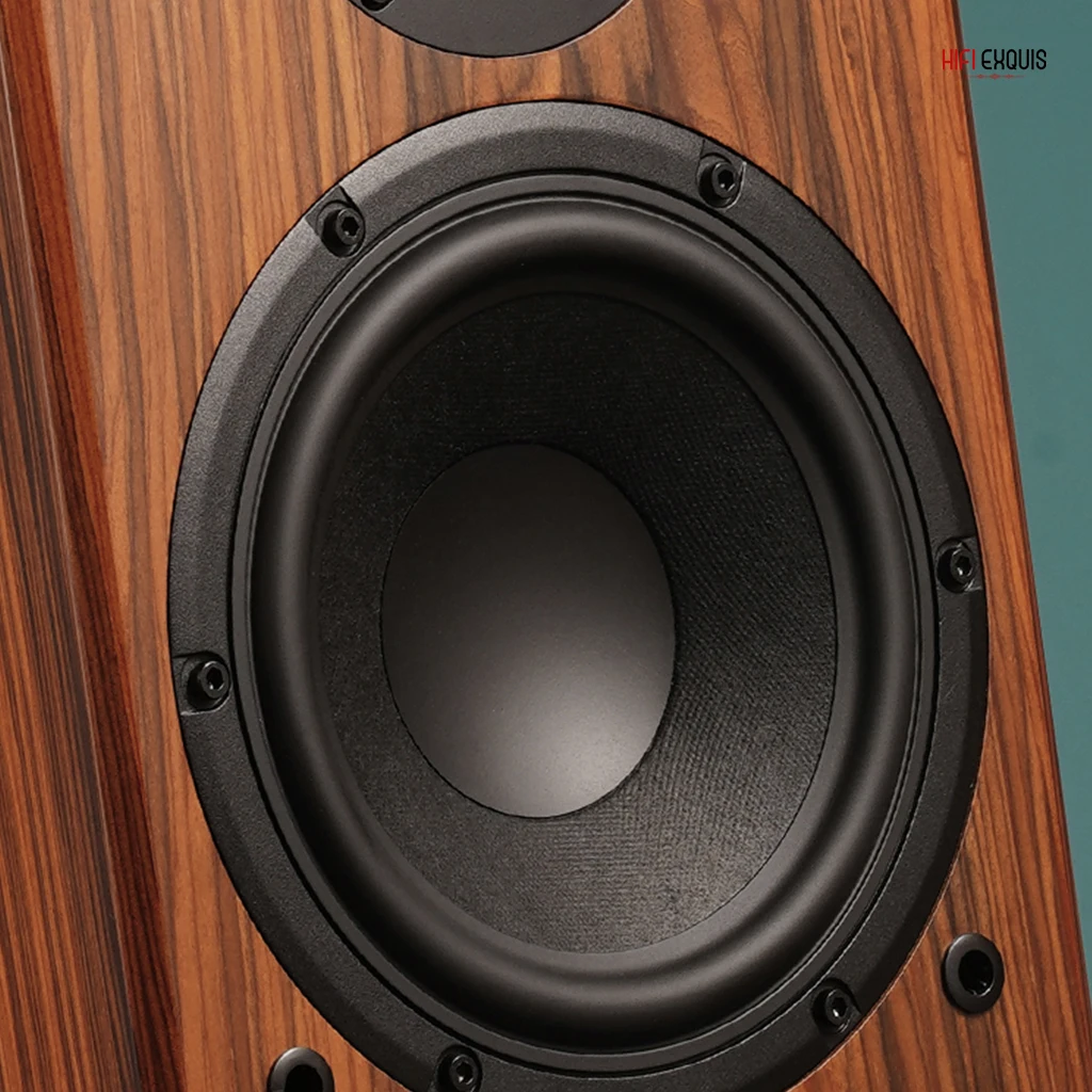 PAIYON P4S Passive Bookshelf PEERLESS Speakers HIFI EXQUIS Two-way 60W ...