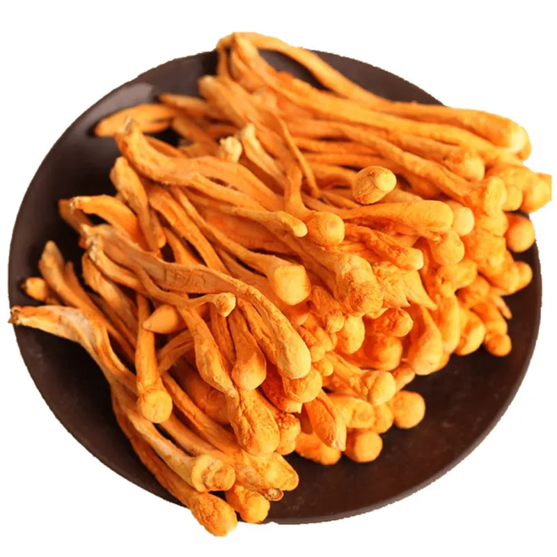 Dried Cordyceps Militaris Cordyceps Flower Jin Chong Cao Herb ...