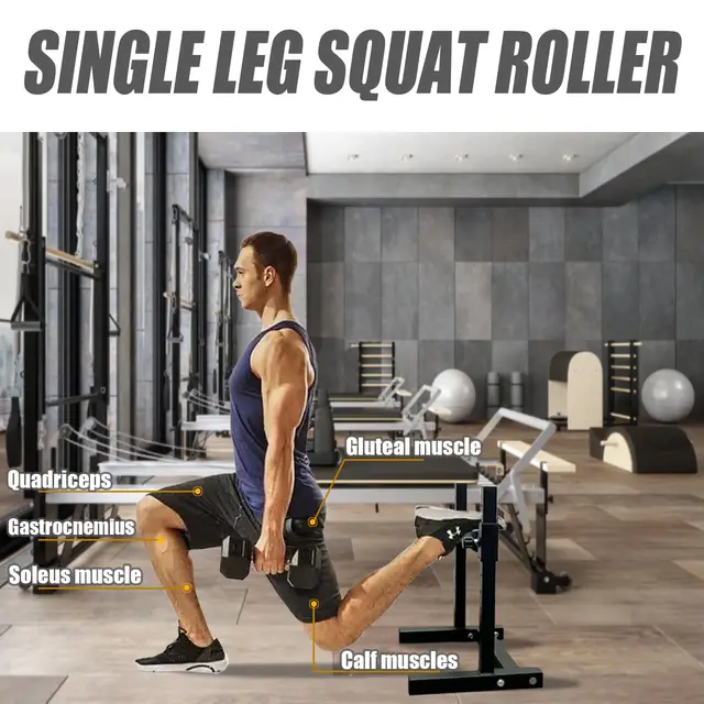 Single Leg Squat Muscles Worked