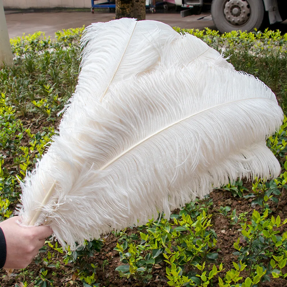 Plumas-de-avestruz-naturales-para-decoraci-n-plumas-de-avestruz-grandes ...