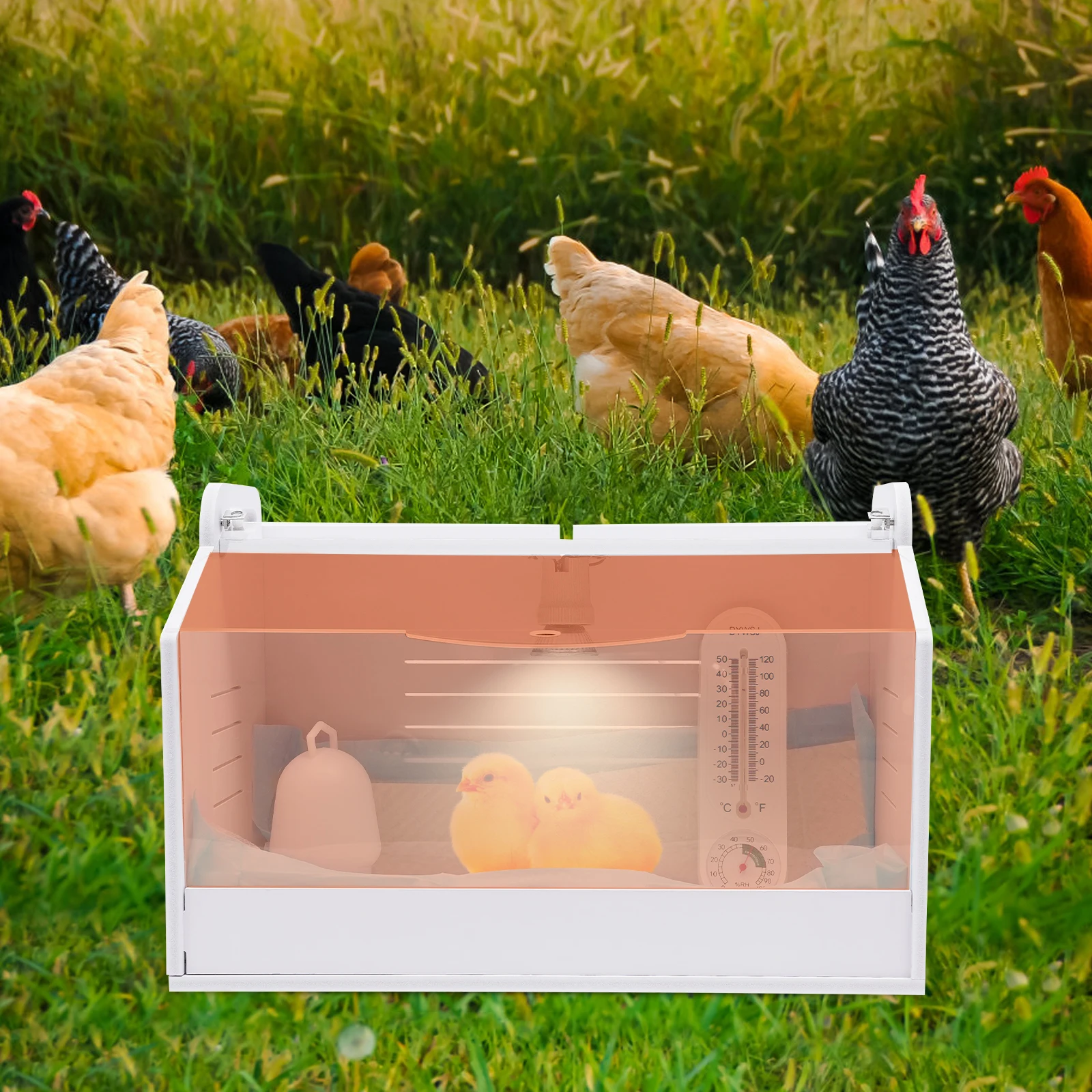 20 Eggs Incubator Dimmable Poultry Hatchery 220V 25W Electric Chicken ...