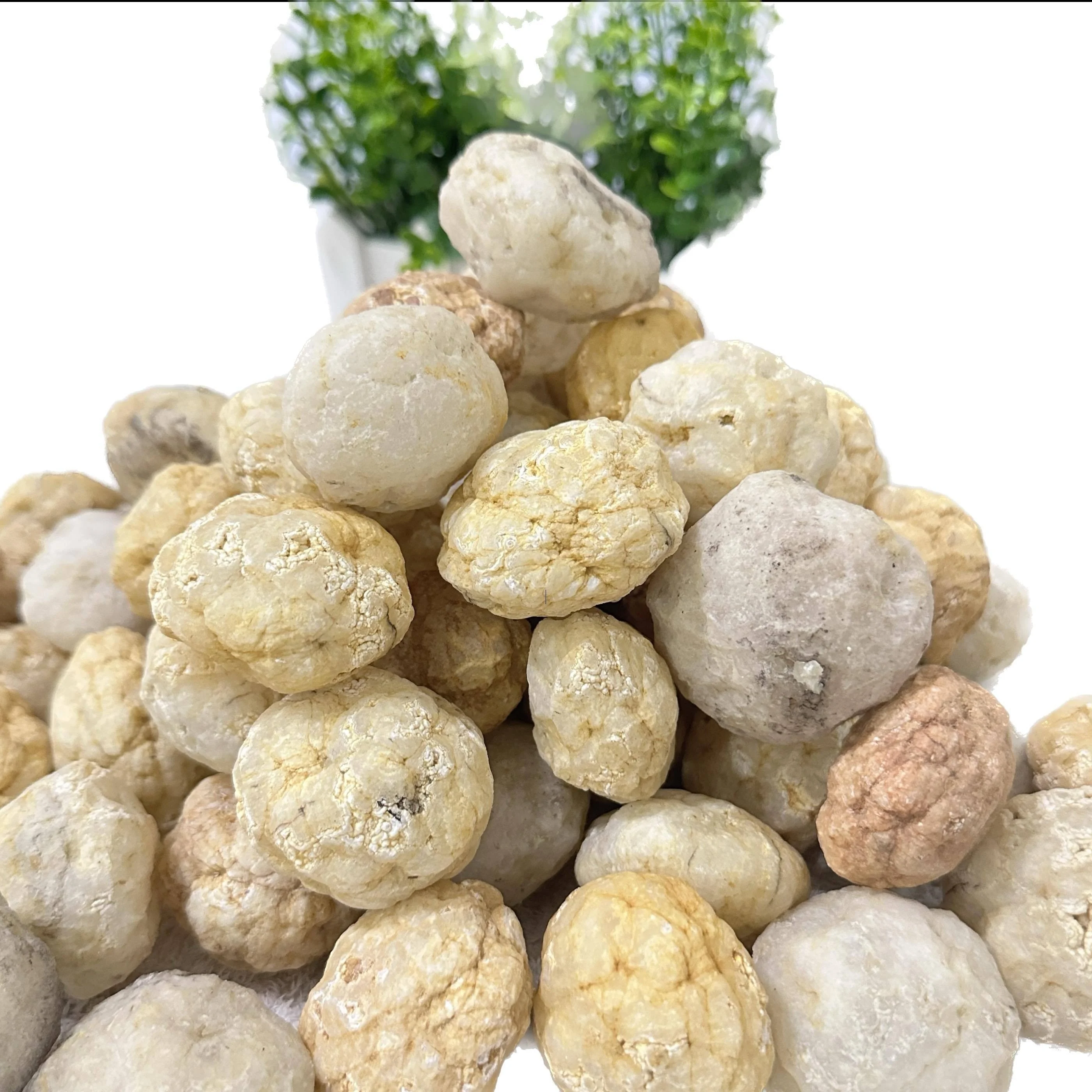 Fy Crystal Jewelry Store