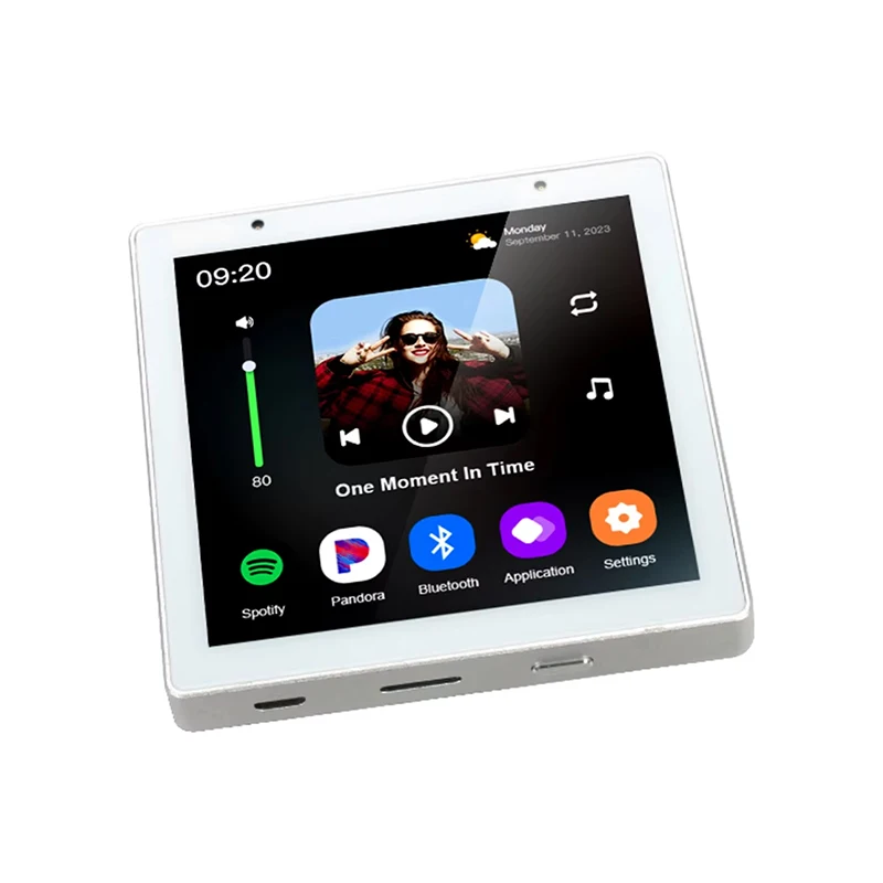 4 Inch Background Music Host Smart Home Audio Amplifiers Set WiFi 2*25W ...