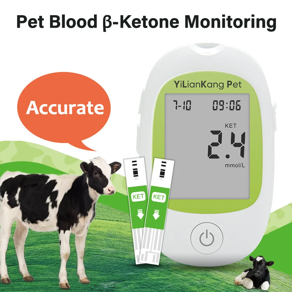 Holstein milk cow Quickly Blood ketone kit - For use cattle with ketone ...