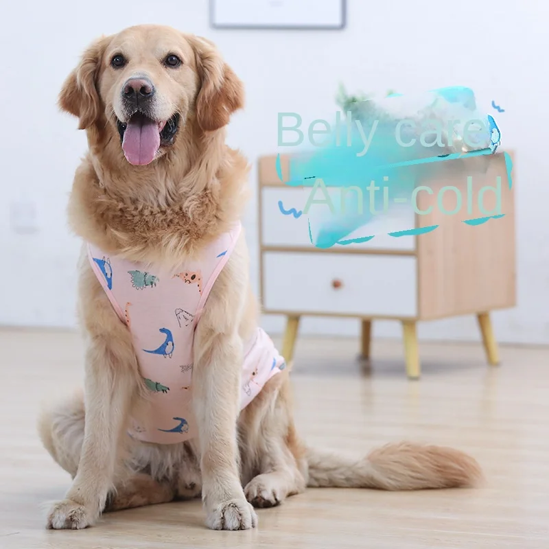 What Is Shedding Season For Labrador