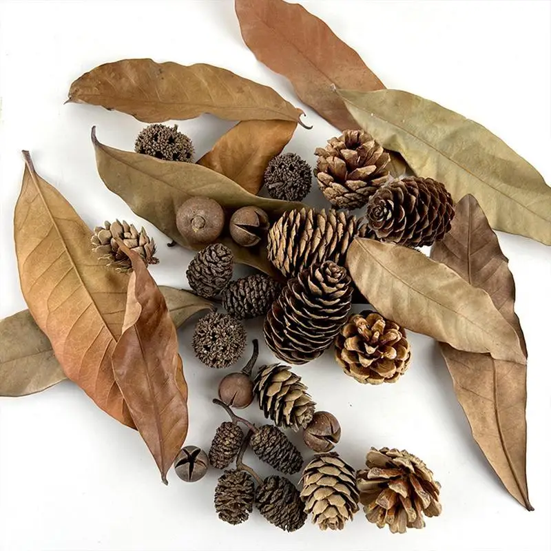 Alder Cones Anti-Bacterial PH Minus Water Treatments Fish Shrimp Tank ...