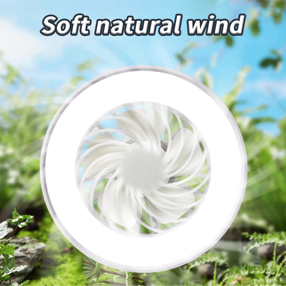 Store Home Products Summer Sale Feedback