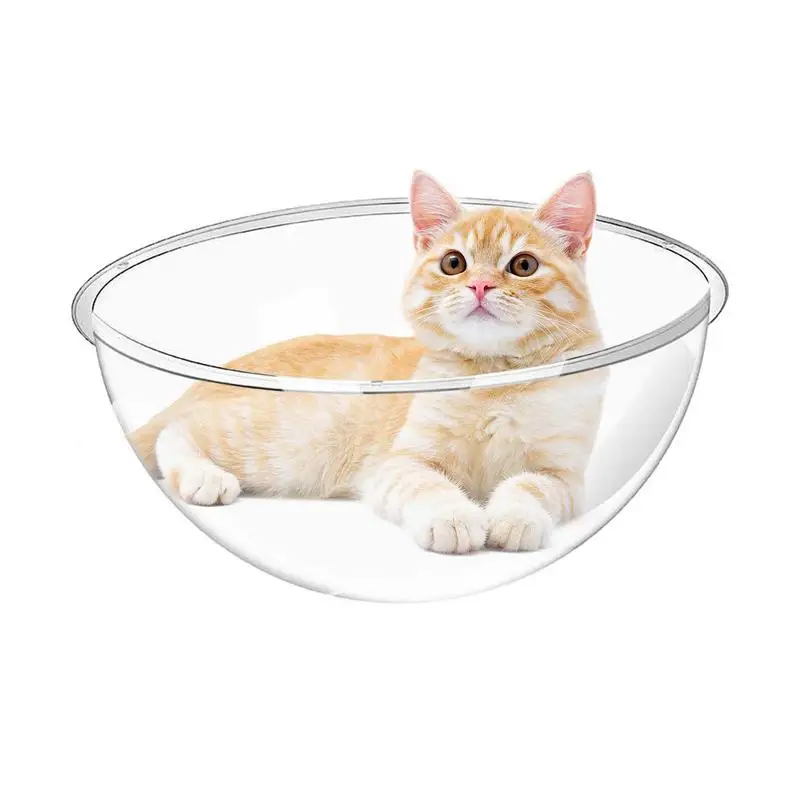 Acrylic-Cat-Hammock-Transparent-Space-Capsule-Sleep-Cat-House ...