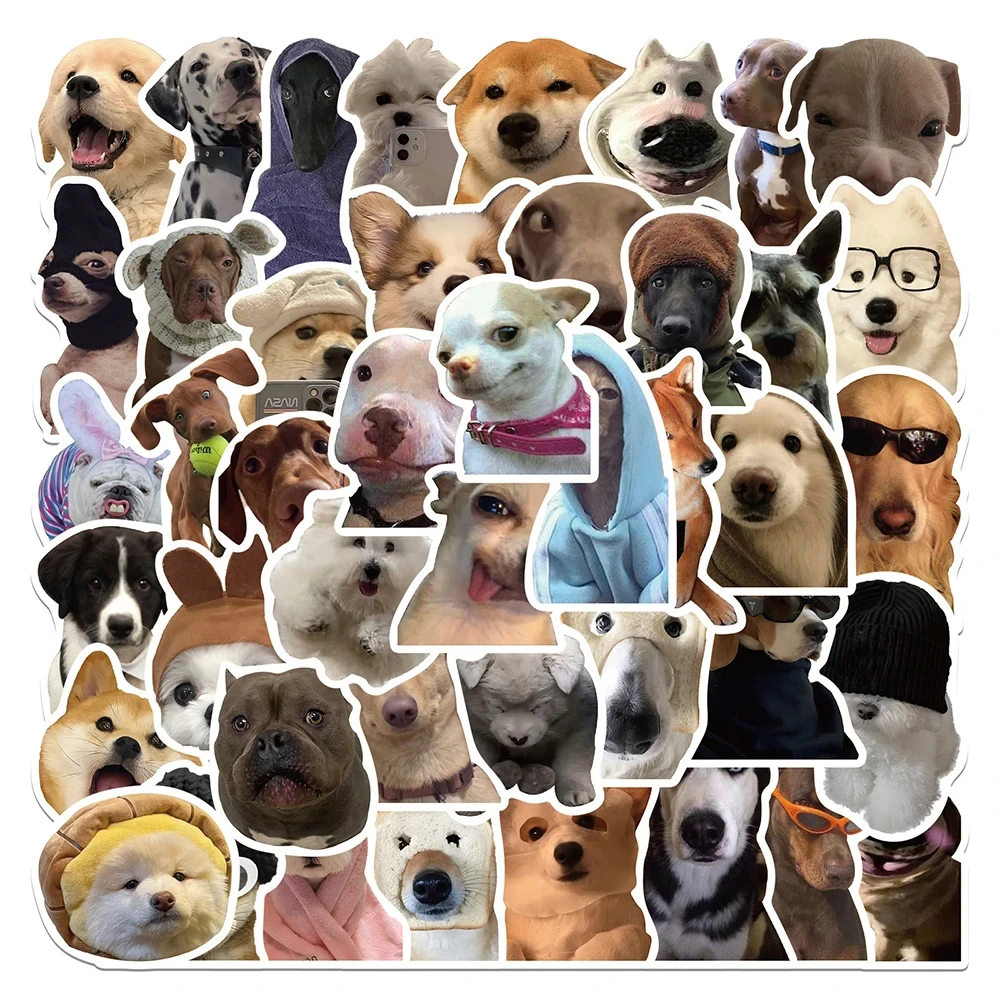 50pcs-Kawaii-Cat-Dog-Funny-Animal-Meme-Stickers-Cute-Decals-Decoration ...