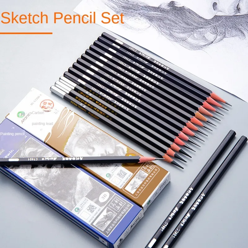 12PCS-Professional-2H-HB-B-2B-14B-Sketch-Drawing-Graphite-Charcoal ...