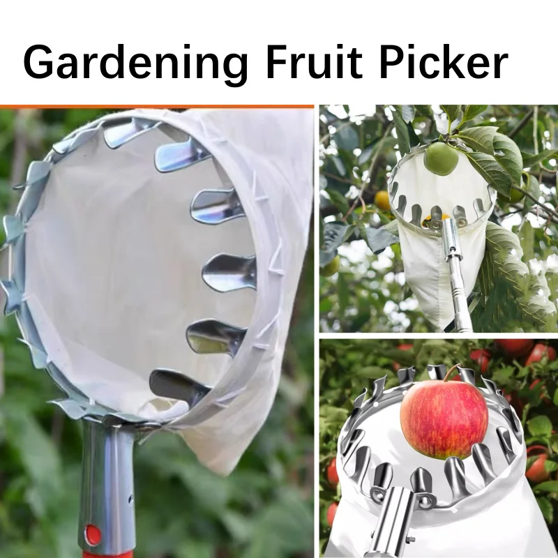 Metal-Fruit-Picker-for-High-Tree-Orchard-Apple-Peach-Picker ...