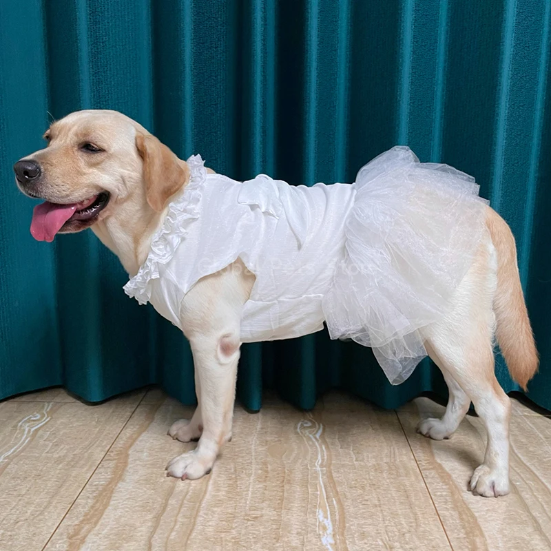 Dog dress wedding 60 photos - Astyledwedding.com