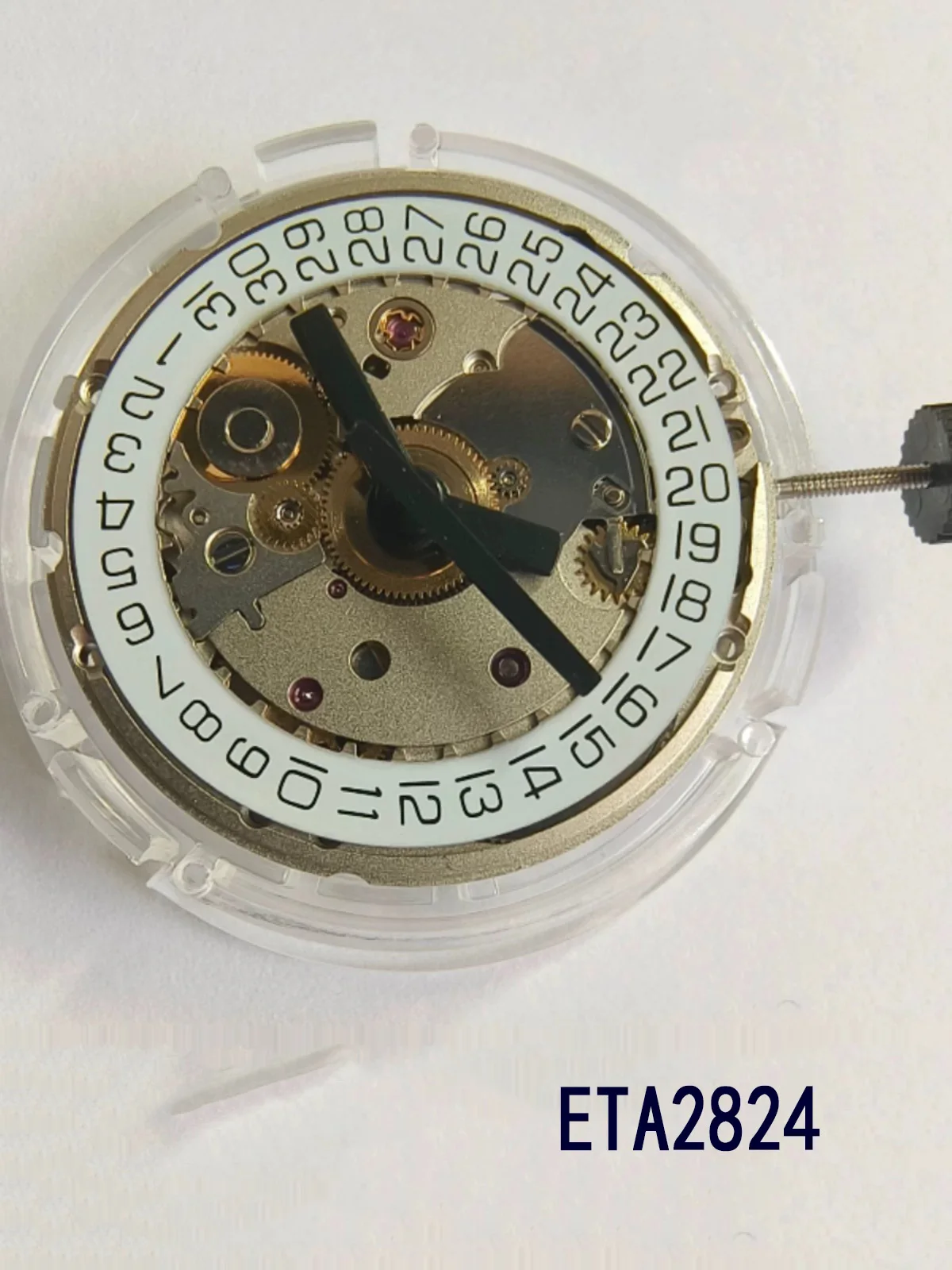 Tianjin-Seagull-ETA282428362834-movement-new-ST2130-Tianjin-2824 ...
