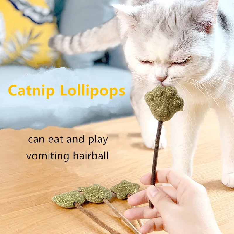 Catnip Lollipop Edible Catnip Ball Safety Healthy Cat Mint Cats Home ...