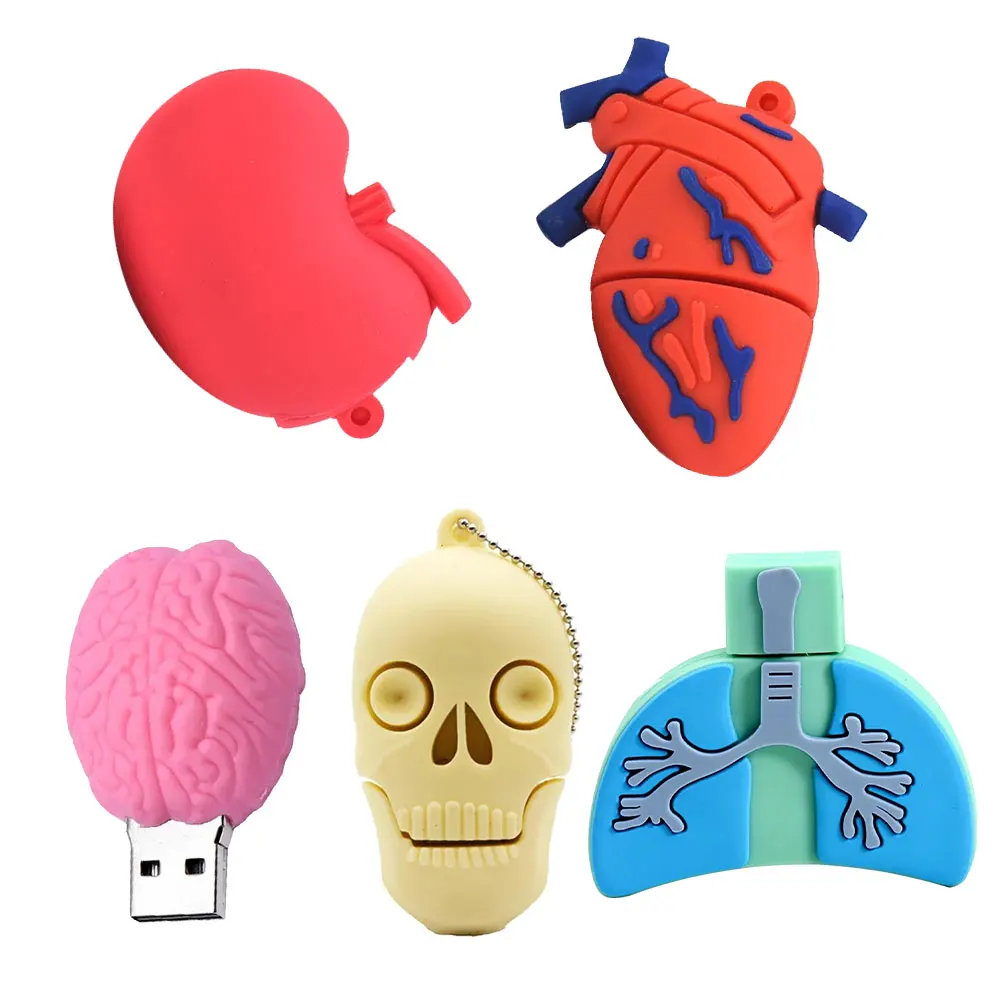 Cartoon-Human-Organs-USB-Flash-Drive-Lung-Heart-Stomach-Brain-shape ...