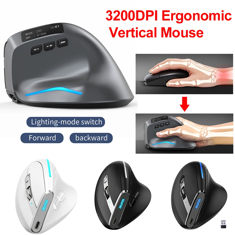 Mouse Lower Classifications | ppgbbe.intranet.biologia.ufrj.br