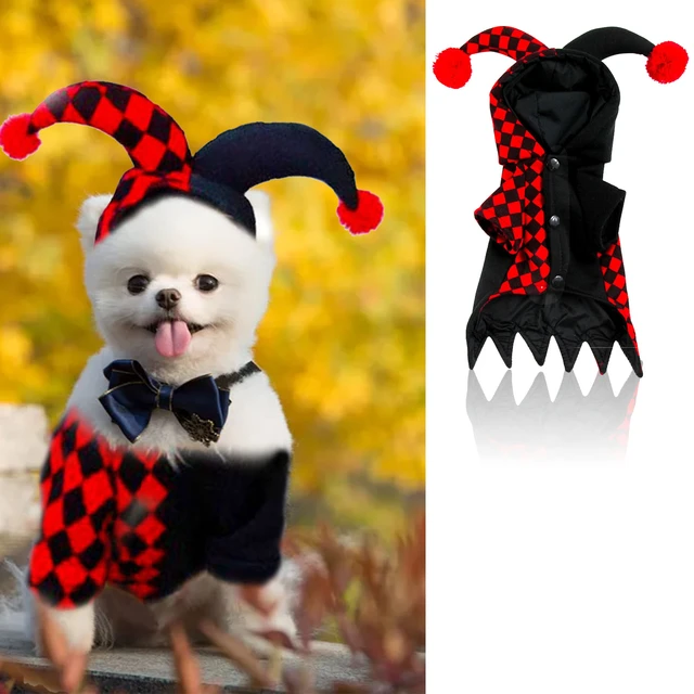Joker Dog Costume