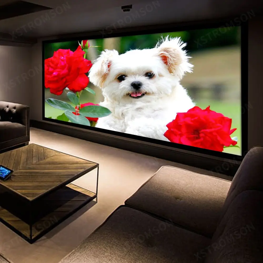 HD-Screen-220-inch-300-inch-16-9-Flat-Fixed-Frame-Projection-Screen-3D ...