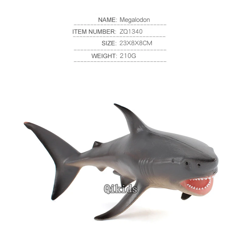 Megalodon Shark Size Vs Blue Whale
