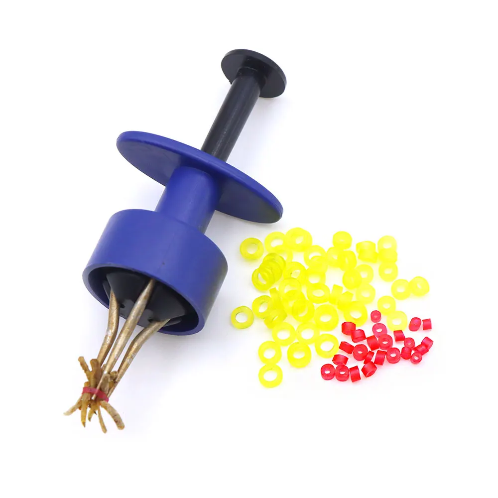 Store Home Products Summer Sale Feedback